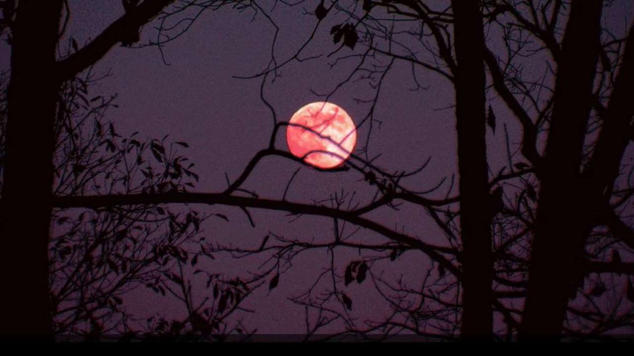 Final lunar eclipse of 2020 on Nov 30; check for time, other details