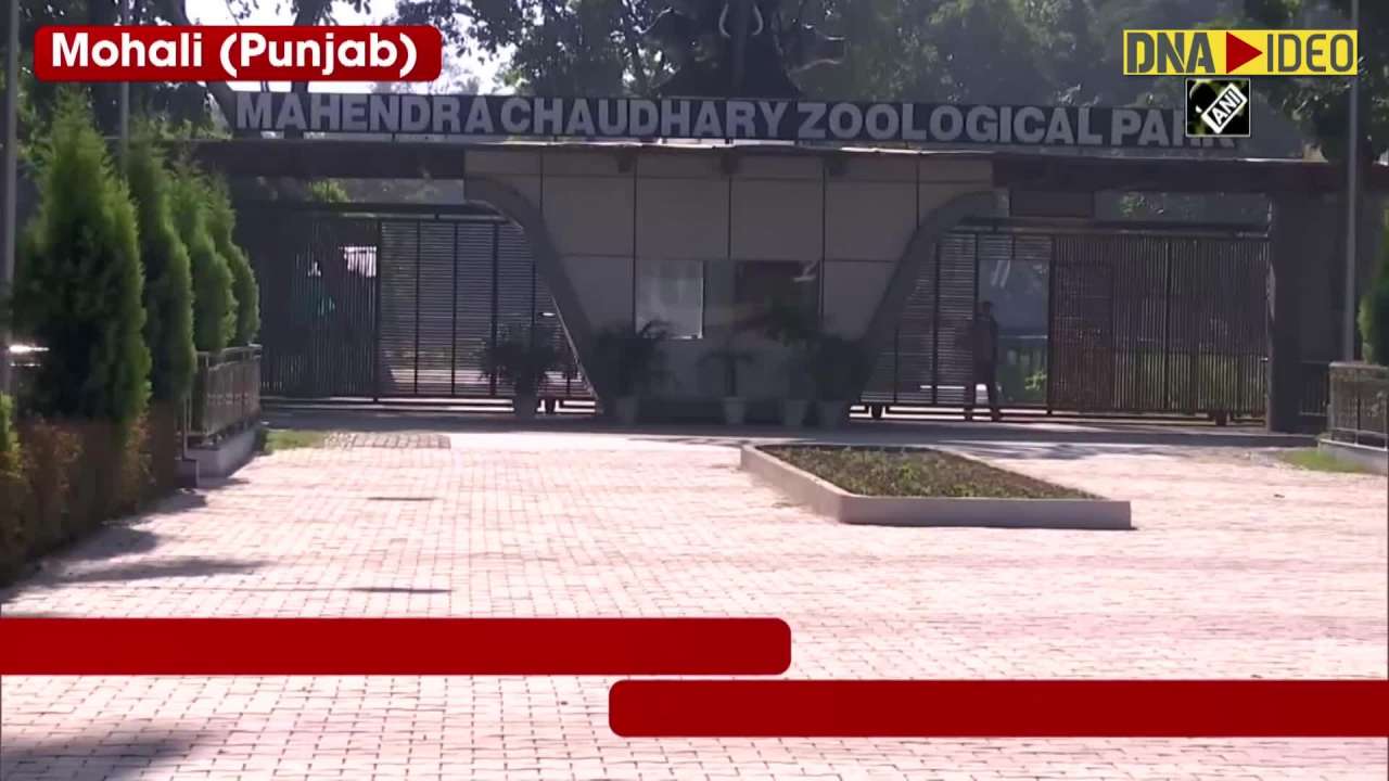 Chhatbir Zoo reopened after over 9 months with COVID-19 guidelines