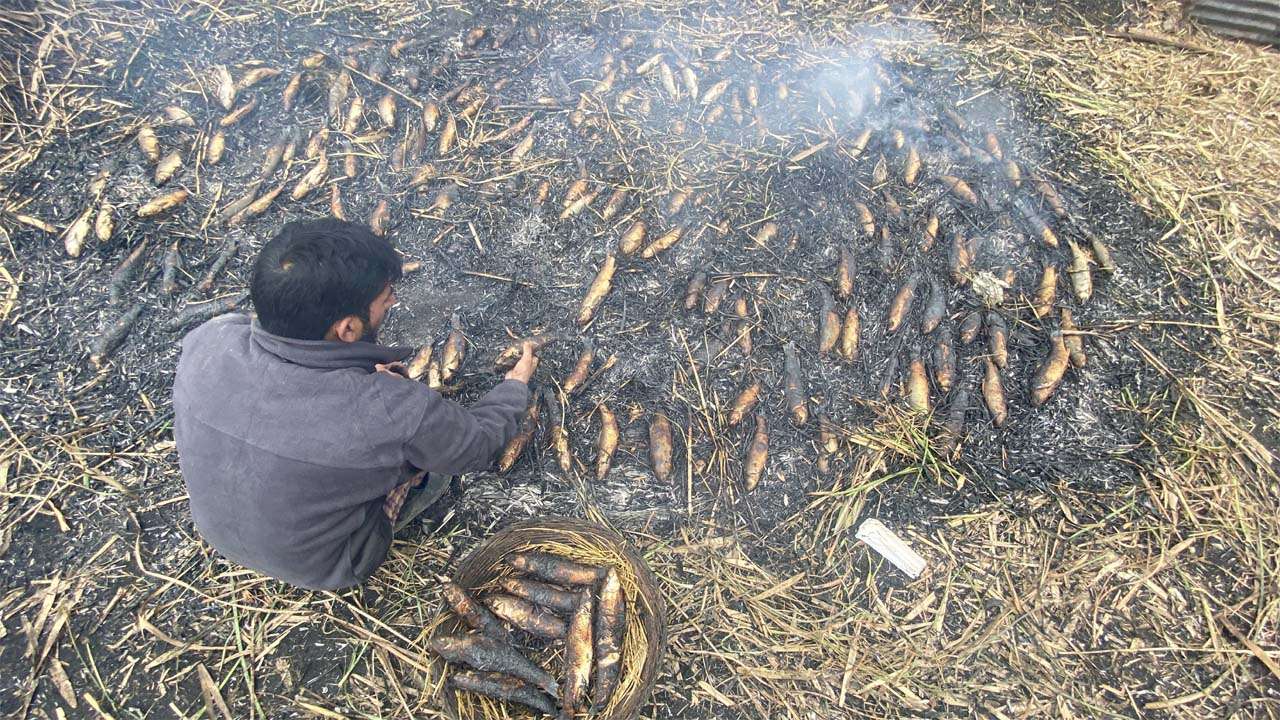 If you are looking for delicacy, try Kashmiri smoked fish 'Phari'