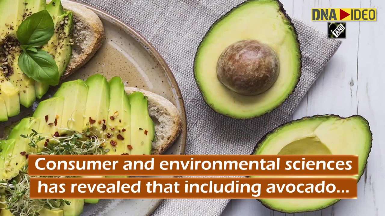 Here's how eating avocado daily keeps gut healthy: Study