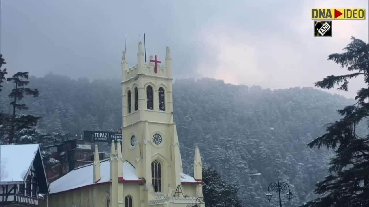 Tourists enthralled by fresh spell of snowfall in Shimla