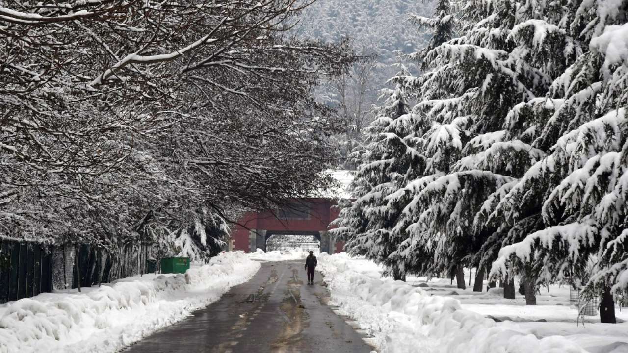 In Pics: Heavy snow fall brings life to standstill in Srinagar