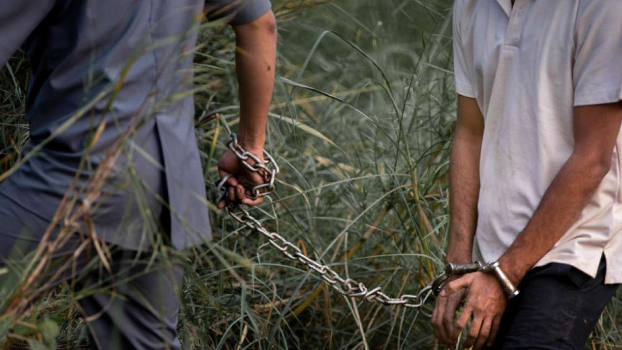 'Fabulous Lives of Bollywood Wives', 'Searching for Sheela': Reality ...