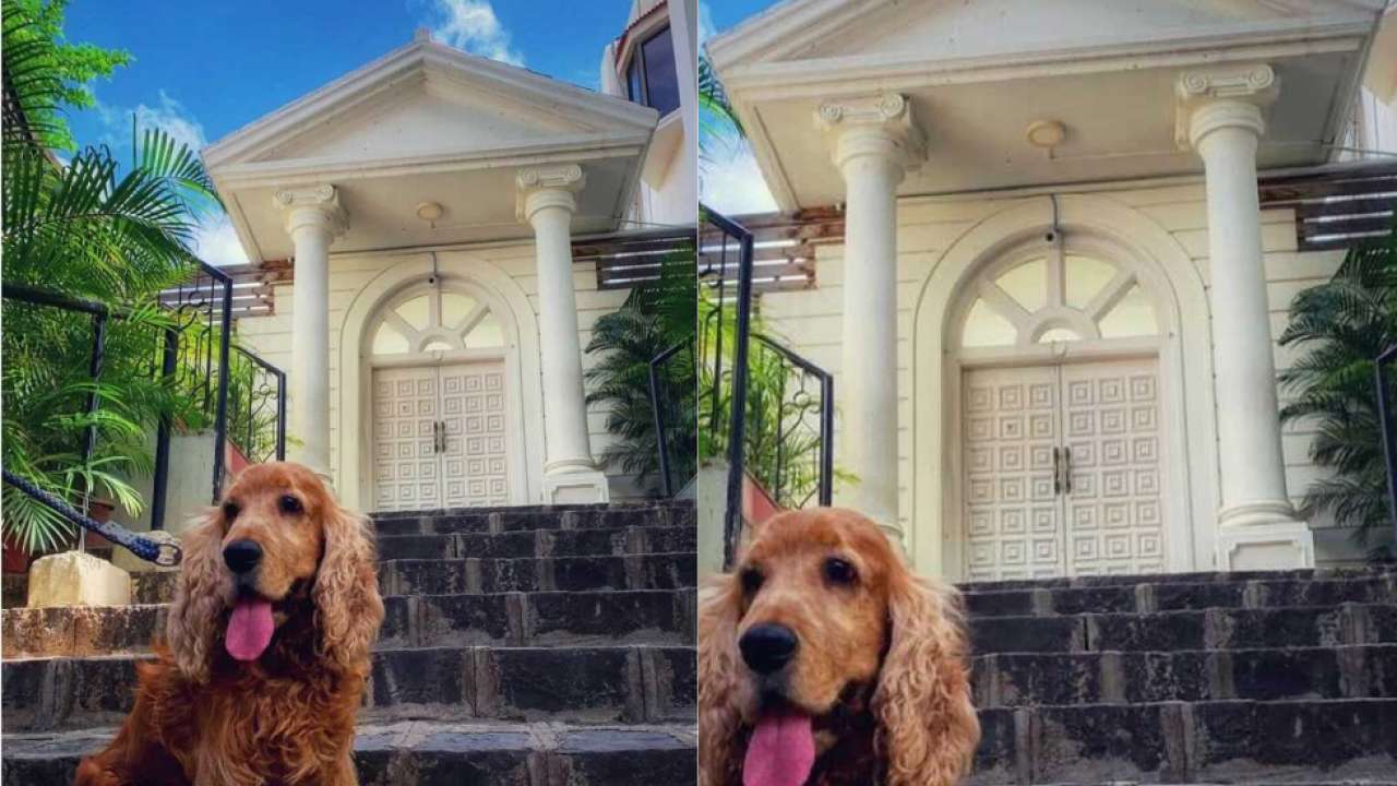 Riteish Deshmukh Brings Home Genelia D39souza And Their Riteish