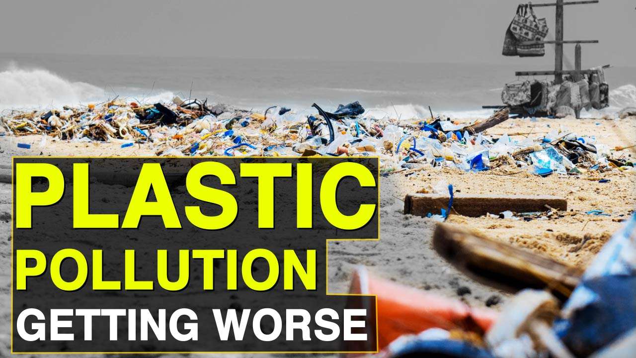 Plastic Waste Pollution: Time to save planet from plastic