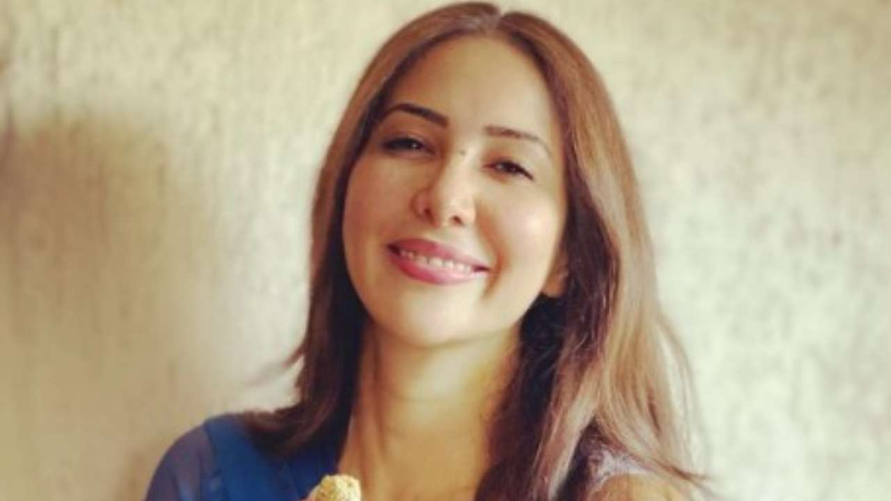 From Kim Sharma, Antara Mali to Koena Mitra, Sneha Ullal: Forgotten ...