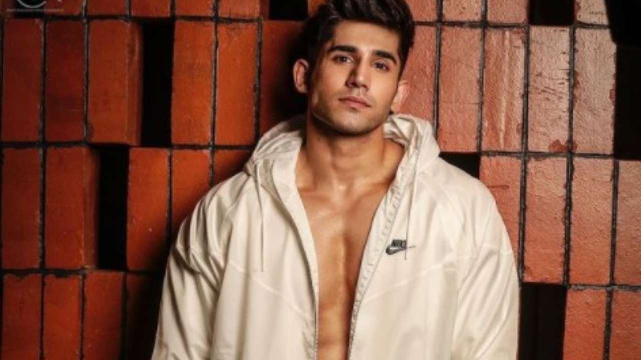 From Nikki Tamboli to Anushka Sen: CONFIRMED list of 'Khatron Ke ...