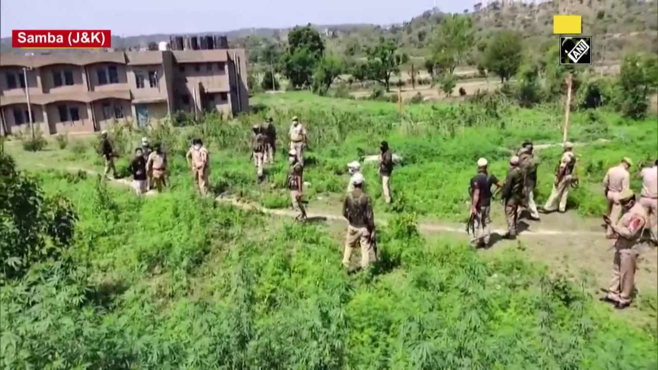 Grenade attack on police in Samba: SSP says appears to be grenade ...