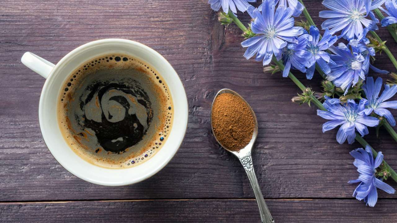 Fireweed, Dandelion, Hibiscus: Flowers and plants that you did not know ...