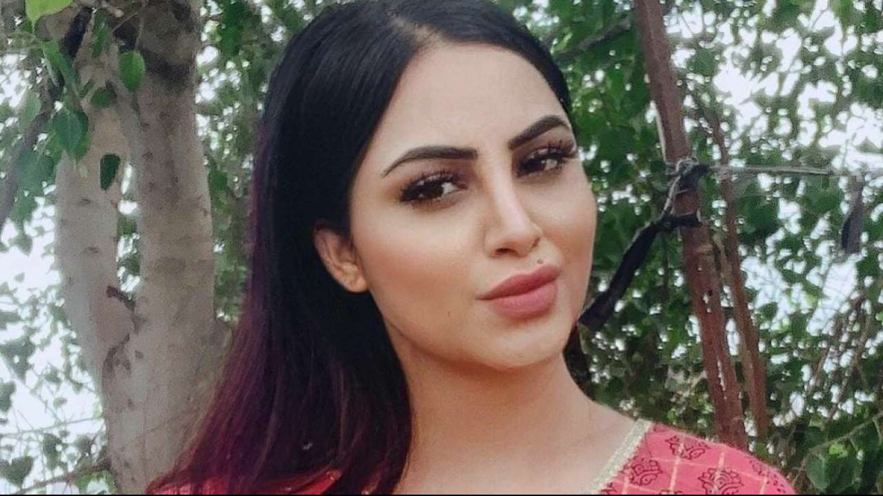 Bigg Boss Fame Arshi Khan Meets With An Accident In Delhi Hospitalised
