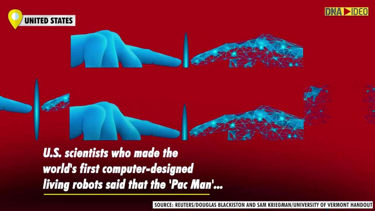 Xenobots represent new form of biological reproduction