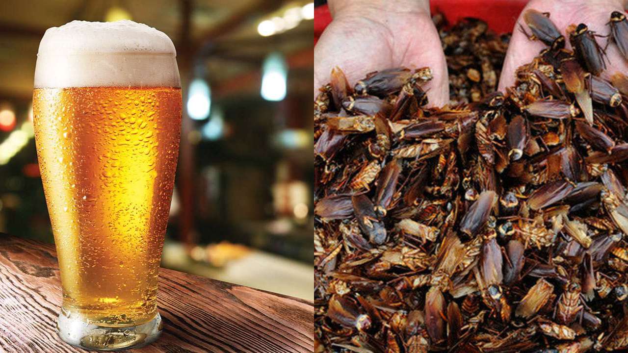 VIRAL: Did you know that beer in Japan is made from this insect?