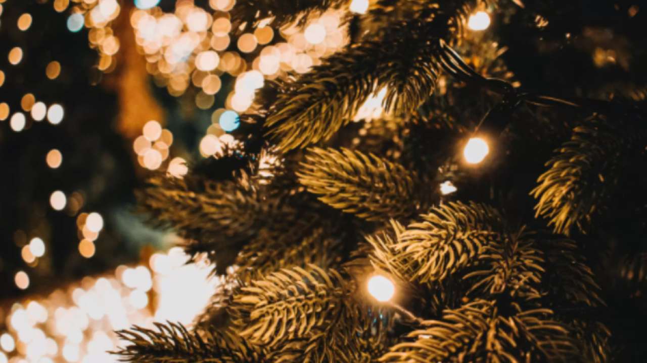 Christmas 2021: Seven fun ways to celebrate this holiday season at home