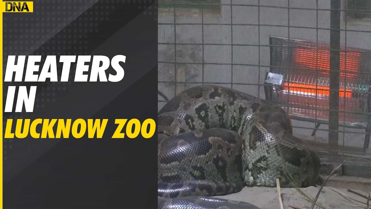 Heaters installed outside enclosures of animals in Lucknow Zoo