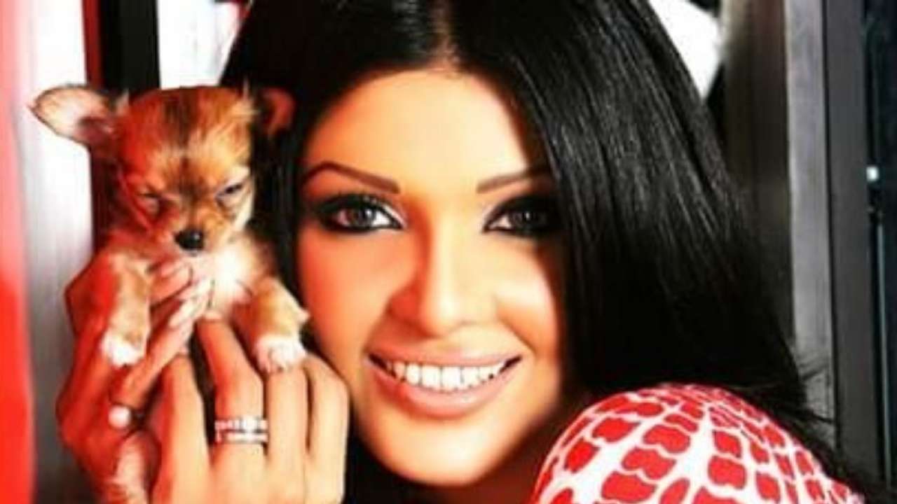 ‘I was tortured’: Koena Mitra opens up on receiving backlash from ...