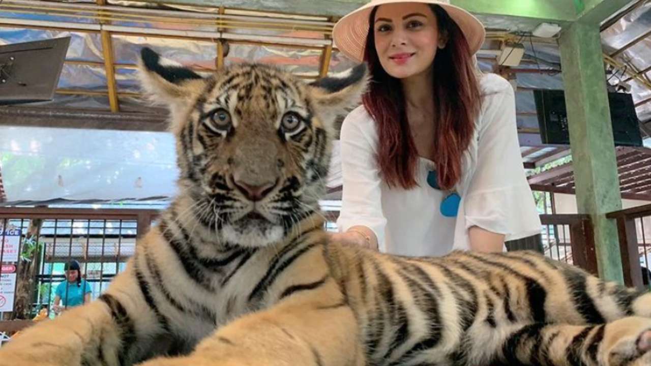Meet model-actress Anchal Kumar, wife of Shark Tank India's Anupam Mittal