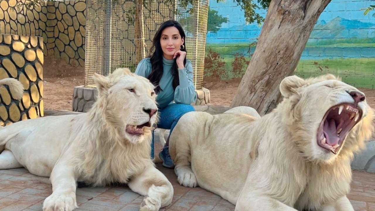 Dubai Prince With His Lion