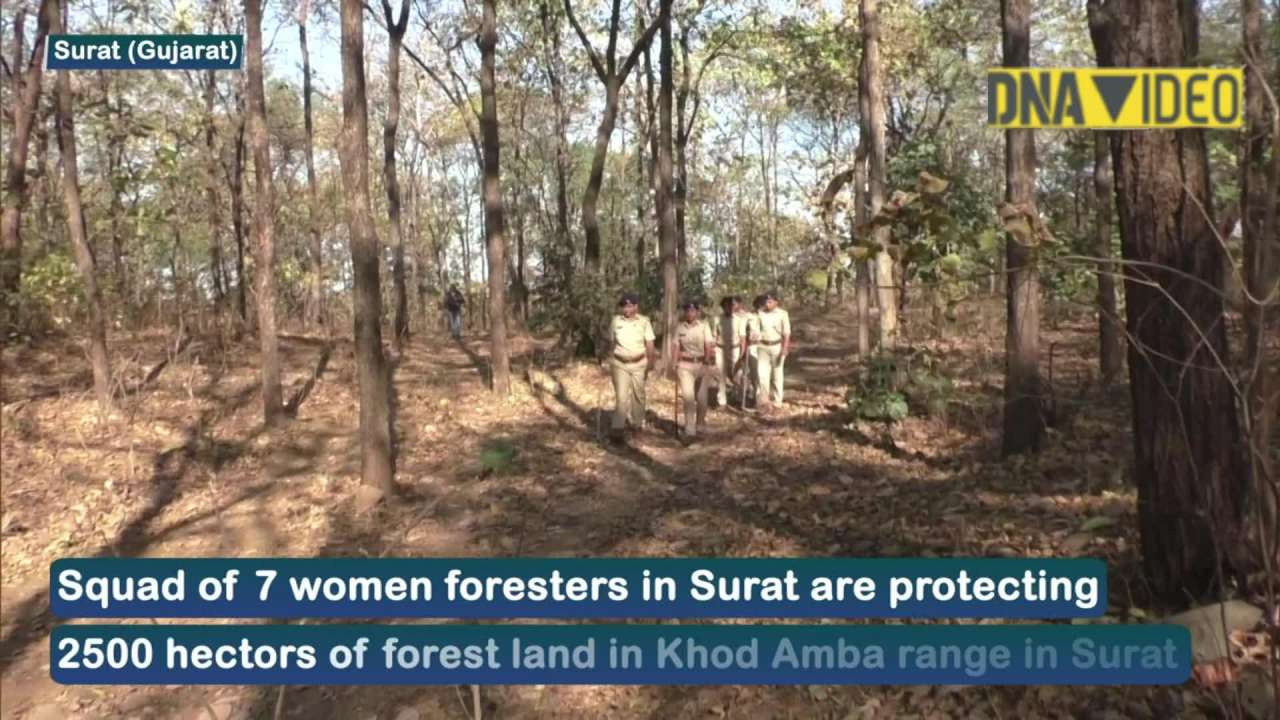 Gujarat: Squad of 7 women foresters guard 2,500 hectares of forest land ...