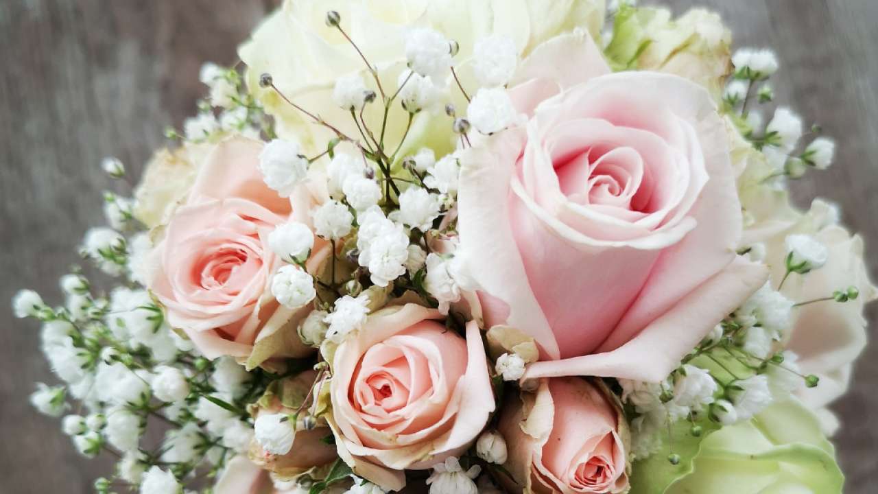 Happy Rose Day 2022: 5 beautiful bouquets you can gift your loved ones