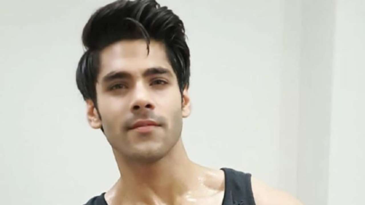 From Tejasswi Prakash, Karan Kundrra to Nishant Bhat: Future career ...