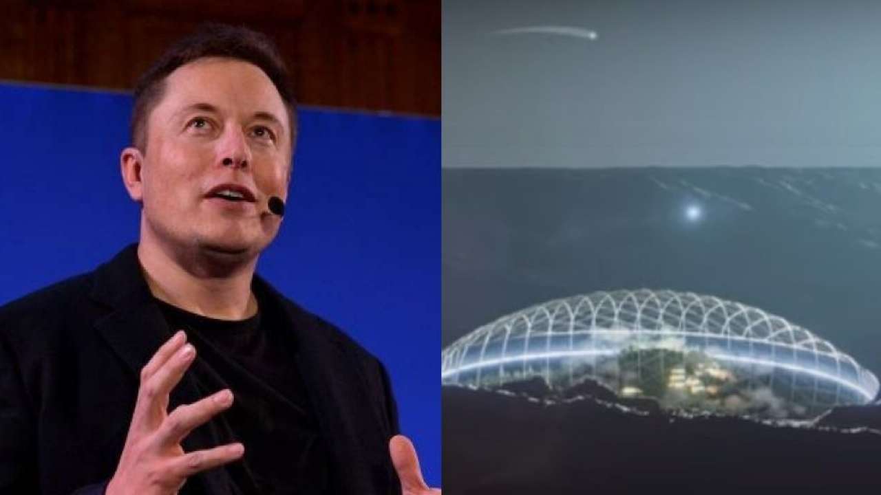 What is Elon Musk’s plan for Mars? SpaceX CEO shares stunning ...