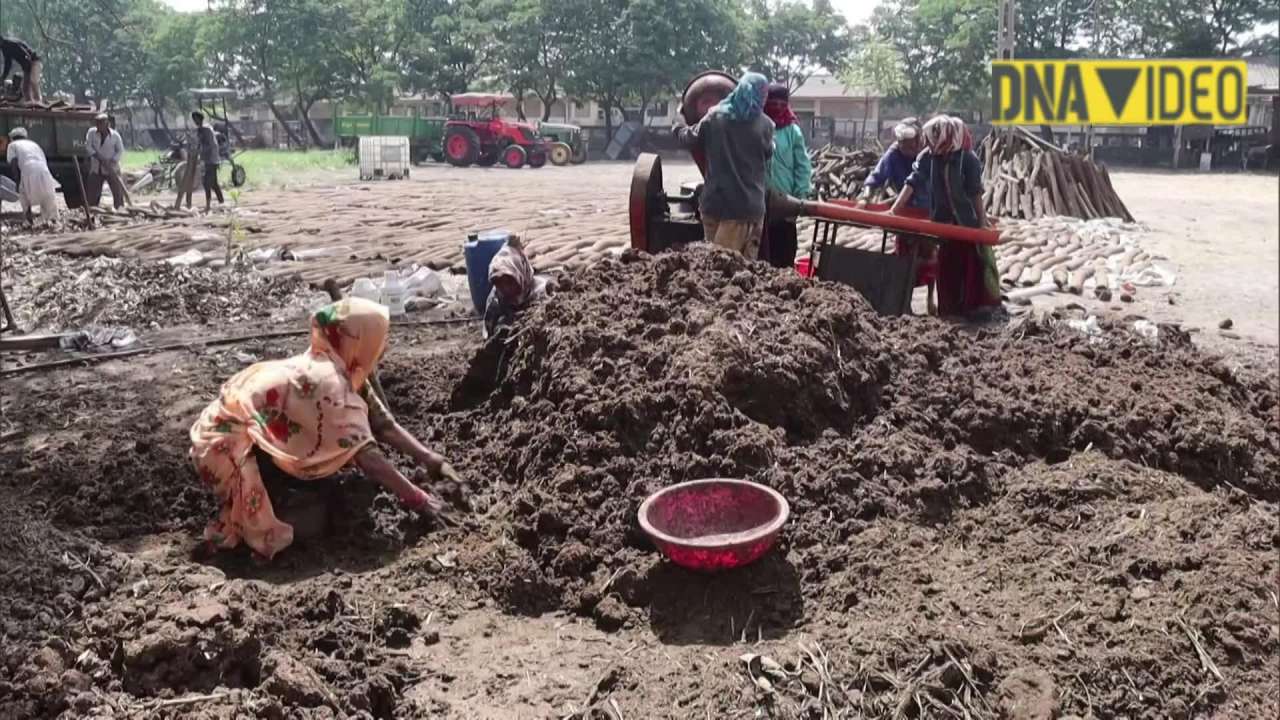 Surat-based trust makes ‘gobar’ sticks for ‘Holika Dahan’ to promote ...