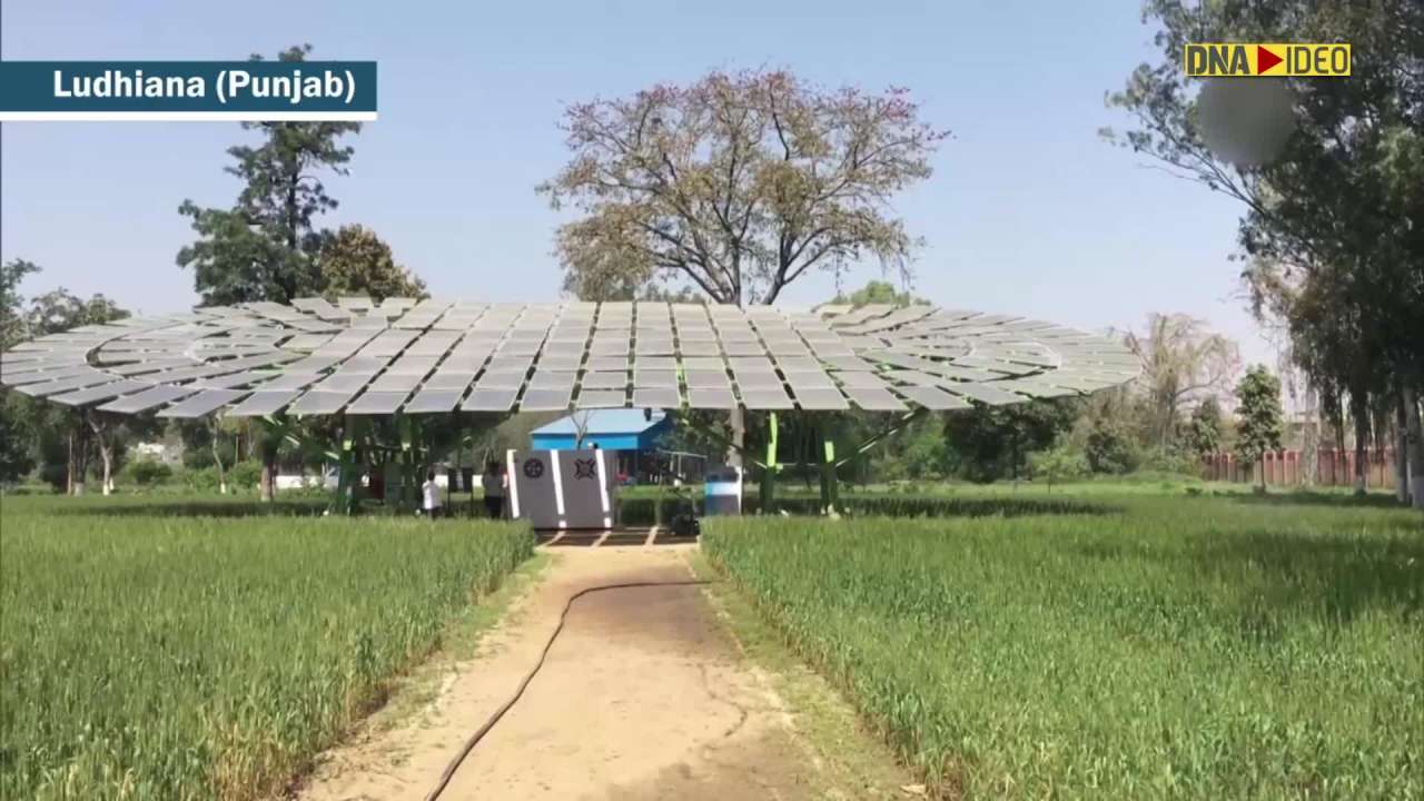 Guinness World Records certifies largest solar tree in Ludhiana