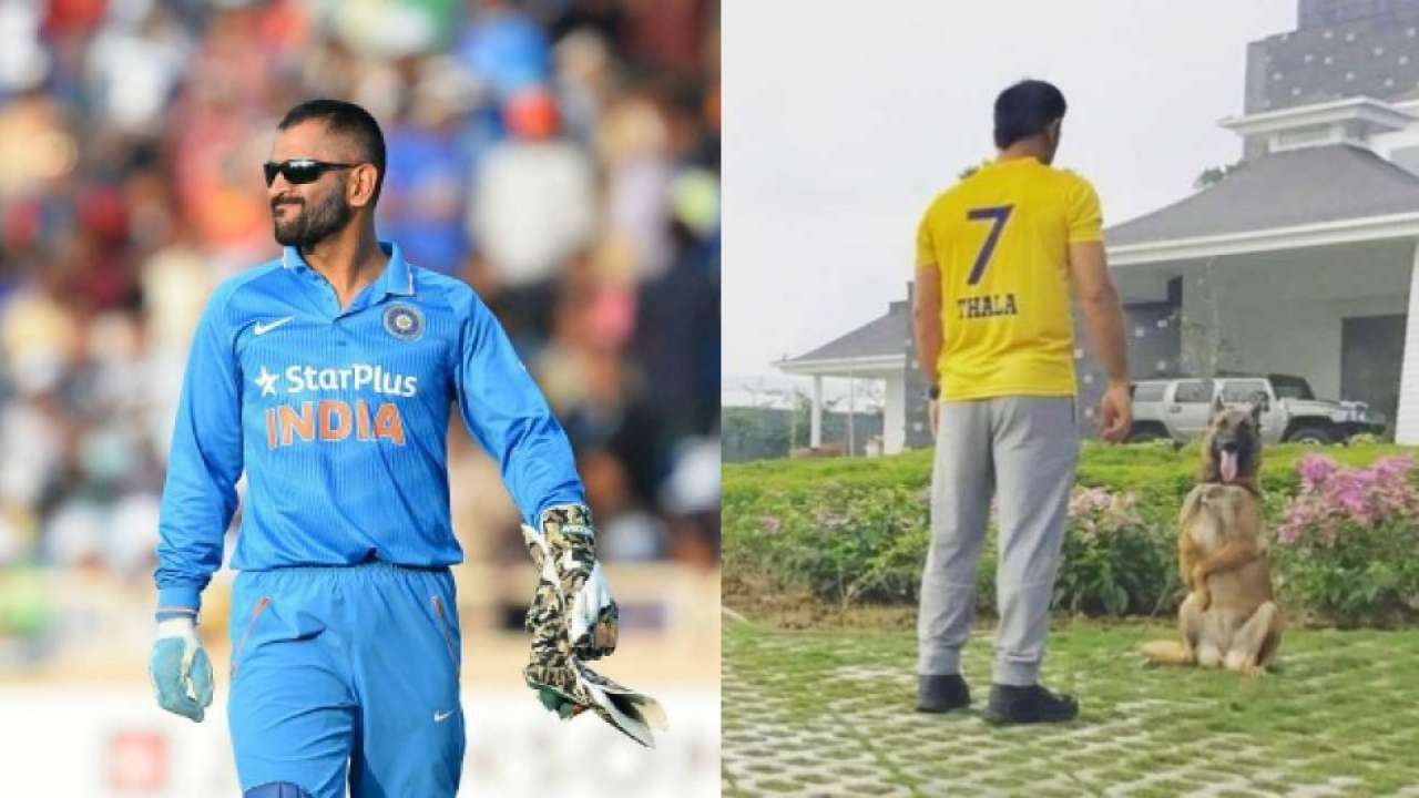 MS Dhoni to open his farmhouse for the people of Ranchi on Holi: Report
