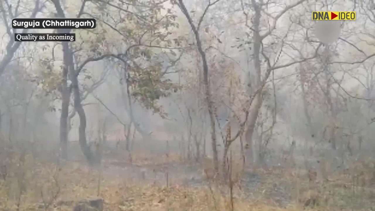 Chhattisgarh: Massive fire breaks out at Keregaon Forest Range in Dhamtari