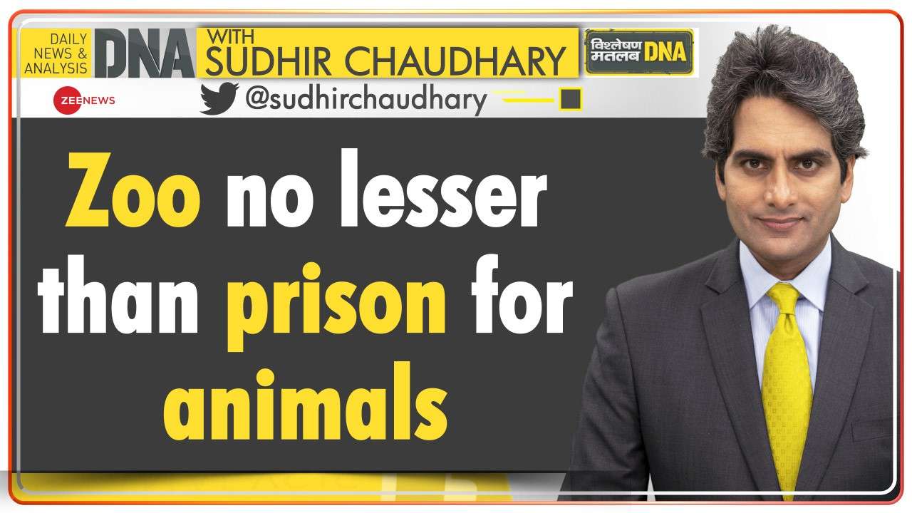 DNA: Security guard slapping a Hippo goes viral