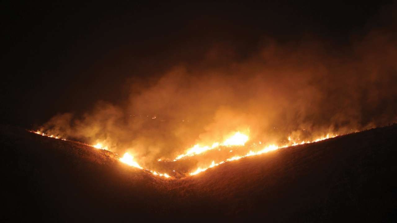 Massive fire breaks out at Rajasthan's Sariska Tiger Reserve, Air Force ...