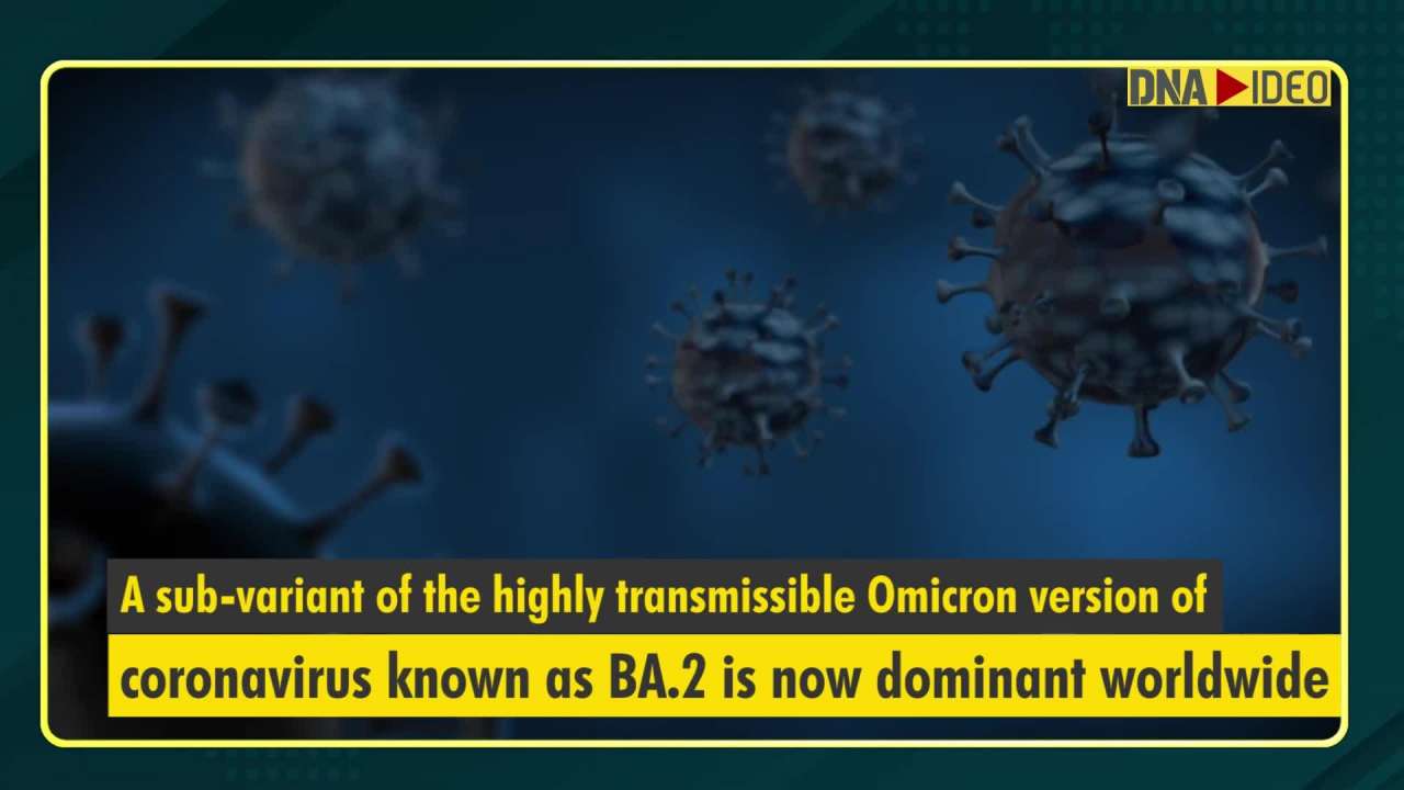 Omicron 'stealth' COVID variant BA.2 is now dominant the world