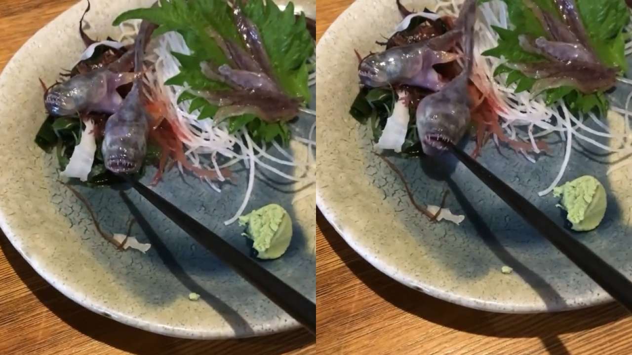 Viral! Fish served as meal comes to life and opens its jaws, WATCH what ...