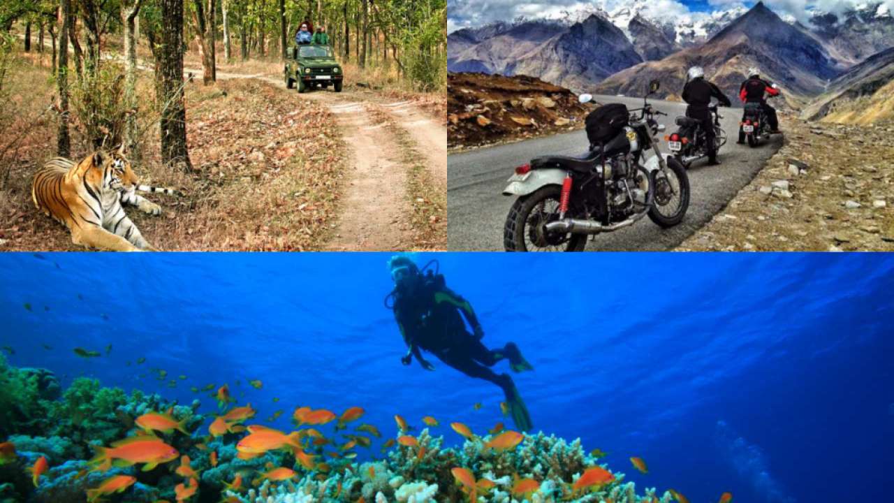 Check out these 4 places to make your summer vacation adventurous