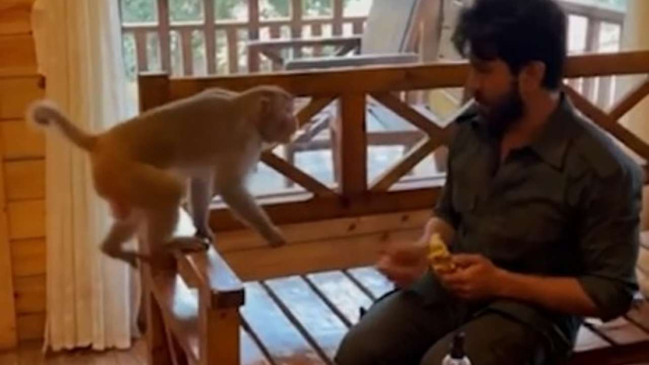 RRR’s Ram Charan spotted feeding monkey on Hanuman Jayanti, watch viral ...