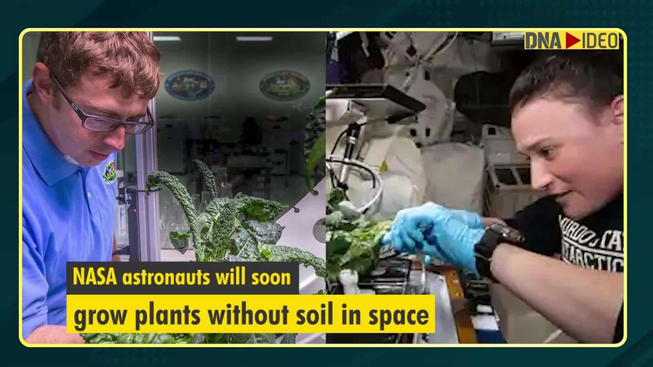 NASA Astronauts to Grow Plants Without Soil in Space, know How