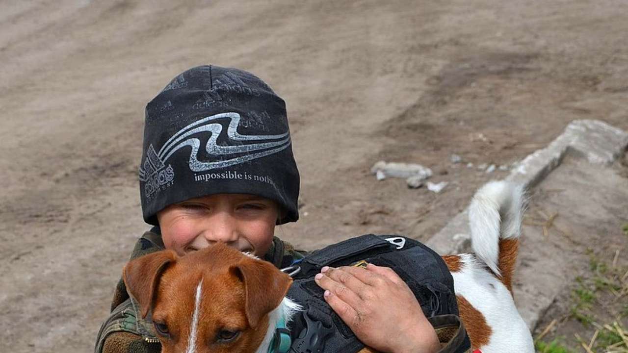 Meet Patron, heroic bomb-sniffing dog in Ukraine who got medal from ...