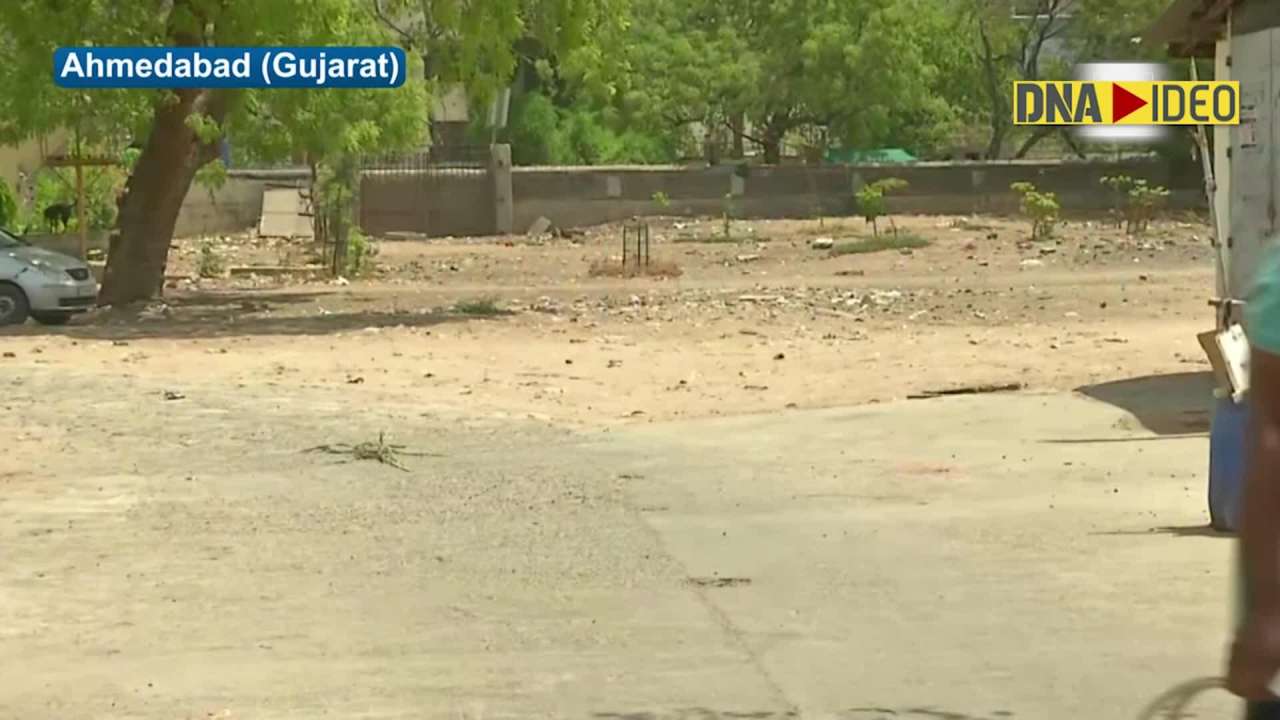 Health condition of birds, animals deteriorating due to heatstroke in ...