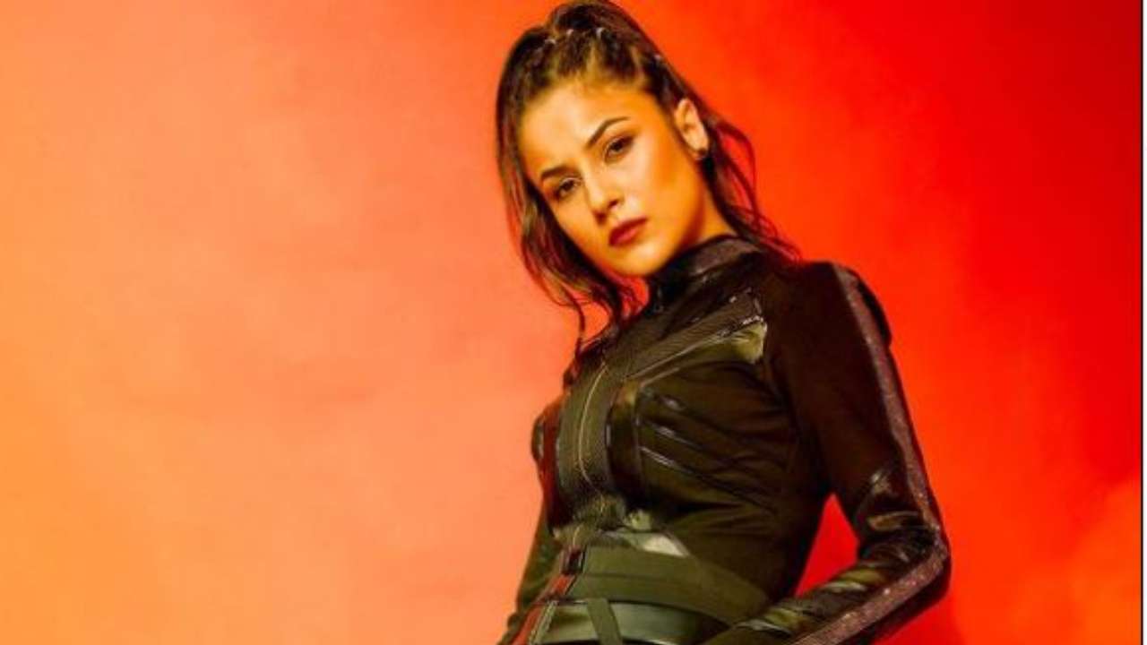 Shehnaaz Gill talks about fame, says 'was desperately waiting to get ...