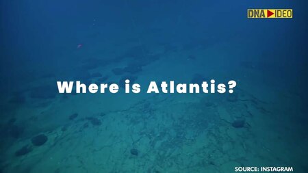 Marine scientists spot 'Yellow Brick Road' in Pacific ocean, can this ...