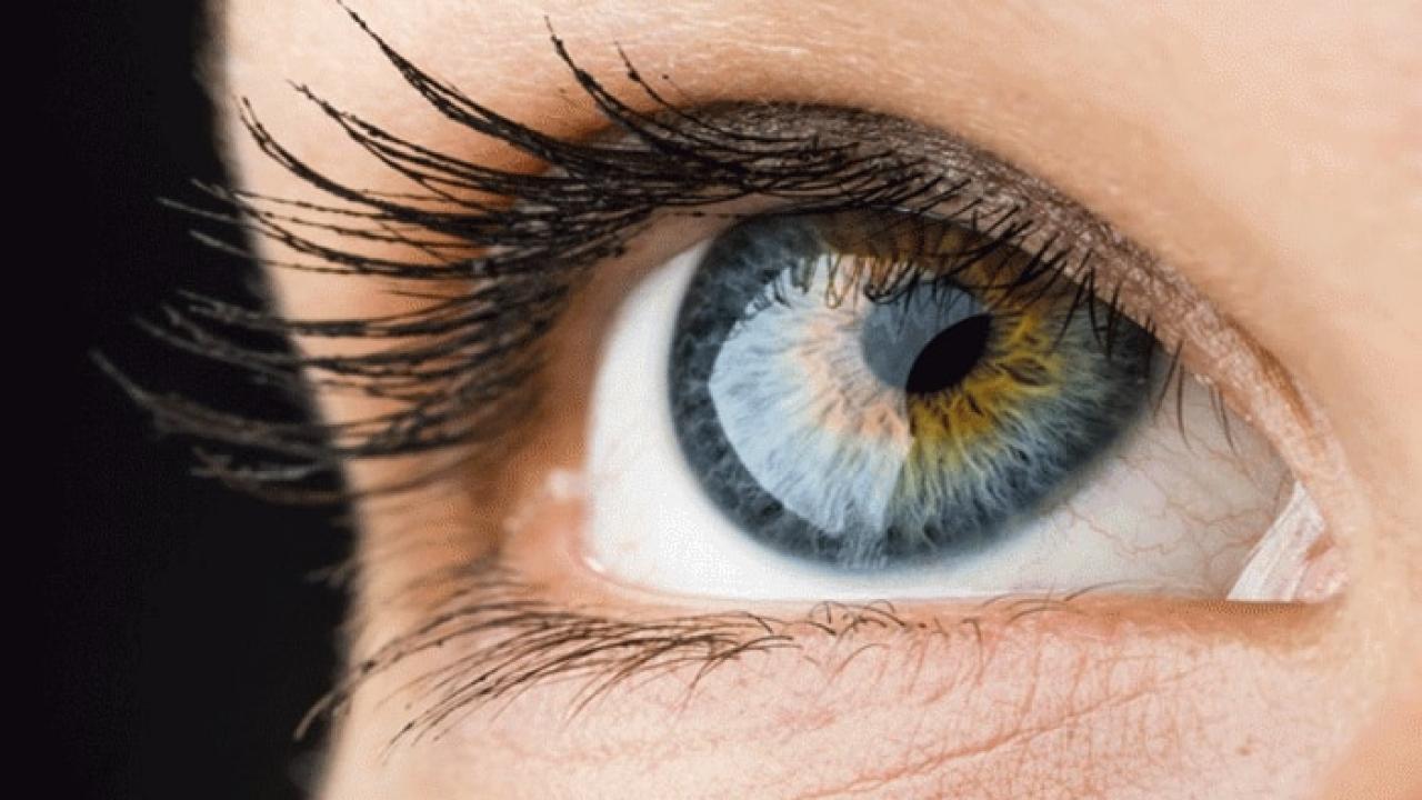 Eye Care: आंखें बताती हैं Health का पूरा हाल! जानिए क्या कहती हैं ...