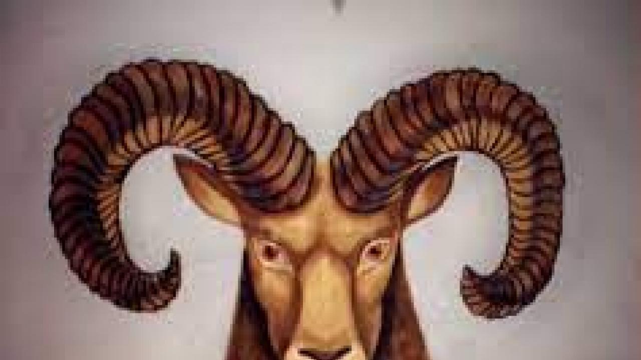 Daily Horoscope : मेष, मिथुन के लिए धीरज है सफलता का मंत्र, मीन राशि ...