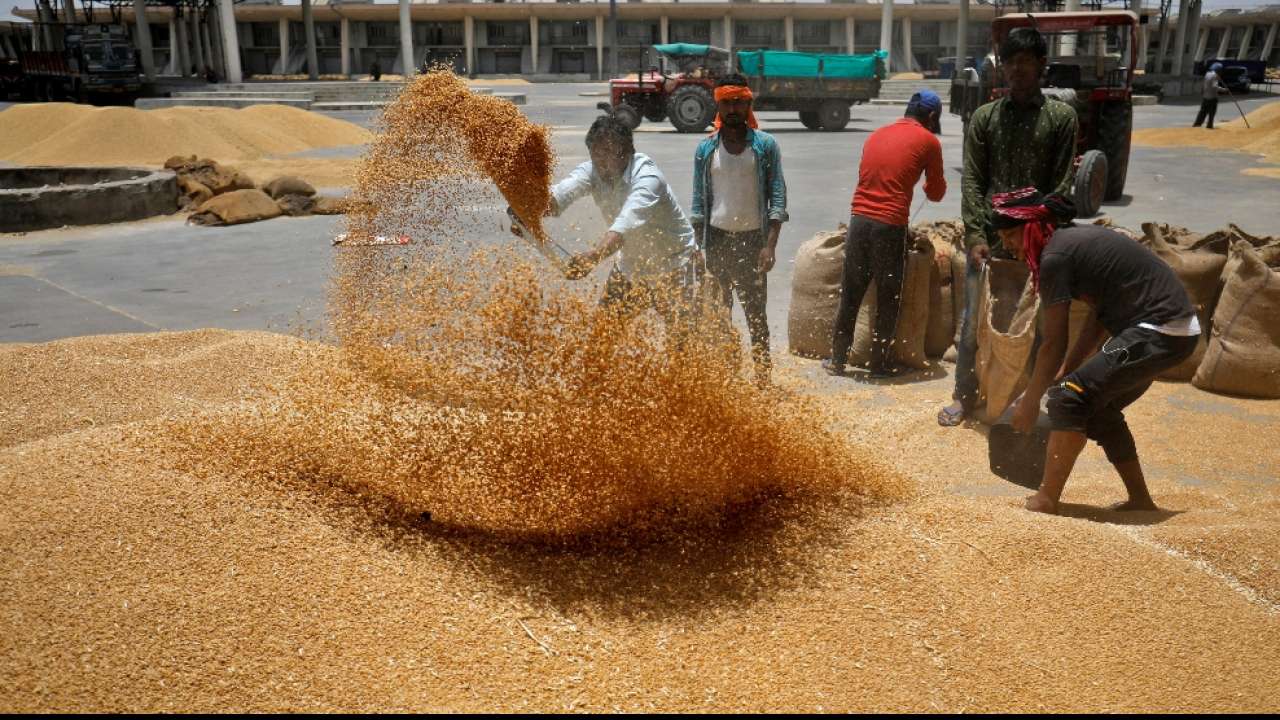 Wheat prices hit record high globally after India export ban