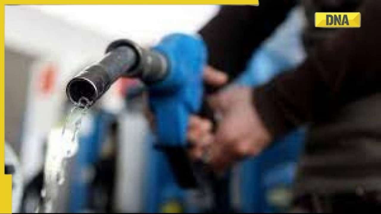 'No Purchase' protest: Petrol pump dealers across 24 states to not buy ...