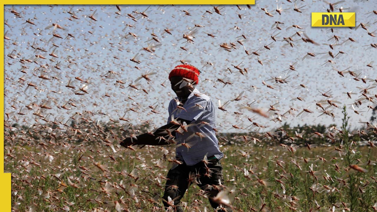 World Pest Day 2022: History, significance, theme and purpose