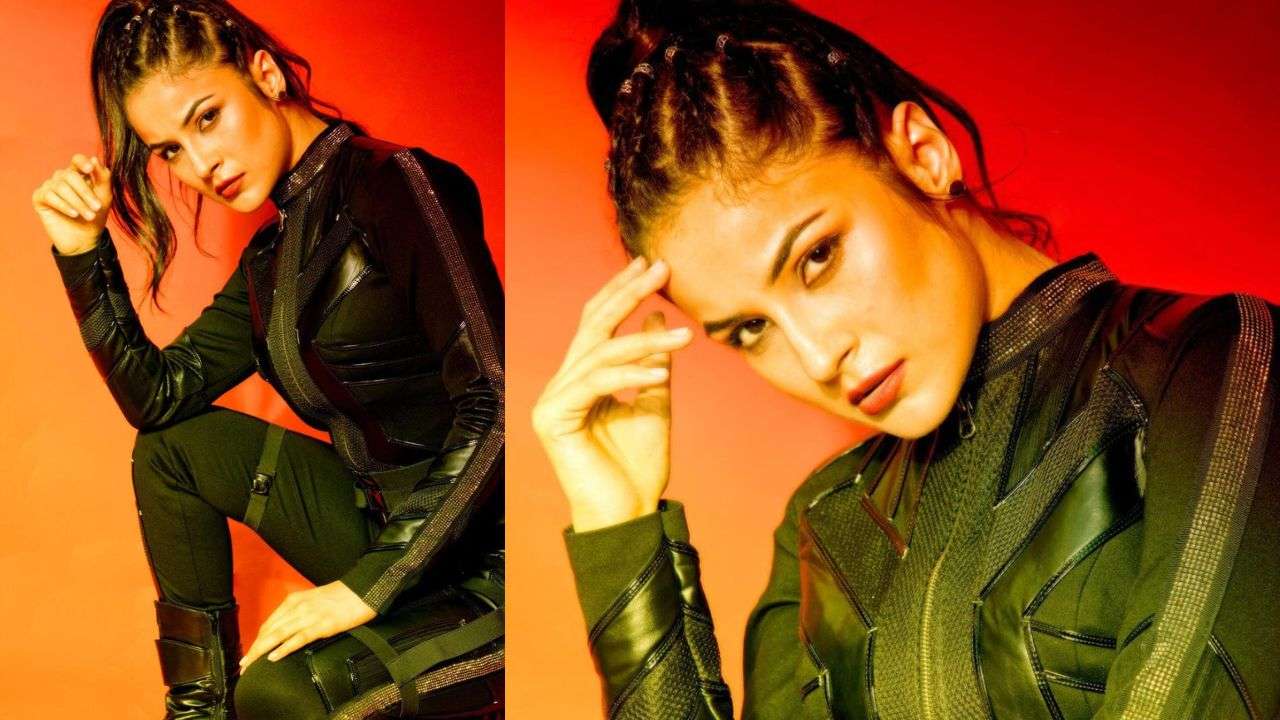 Fashion Friday: Photos of Shehnaaz Gill that proves her as 'ultimate ...
