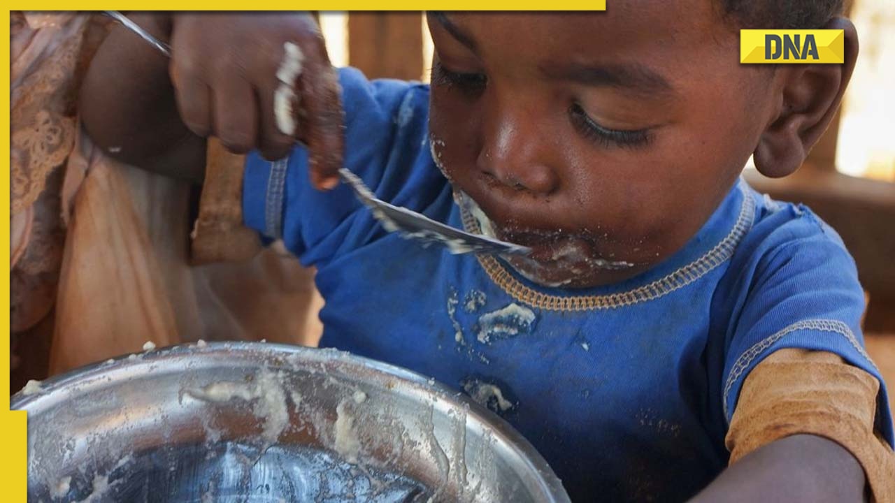 DNA Explainer: Russia-Ukraine war and its impact leading to global food ...