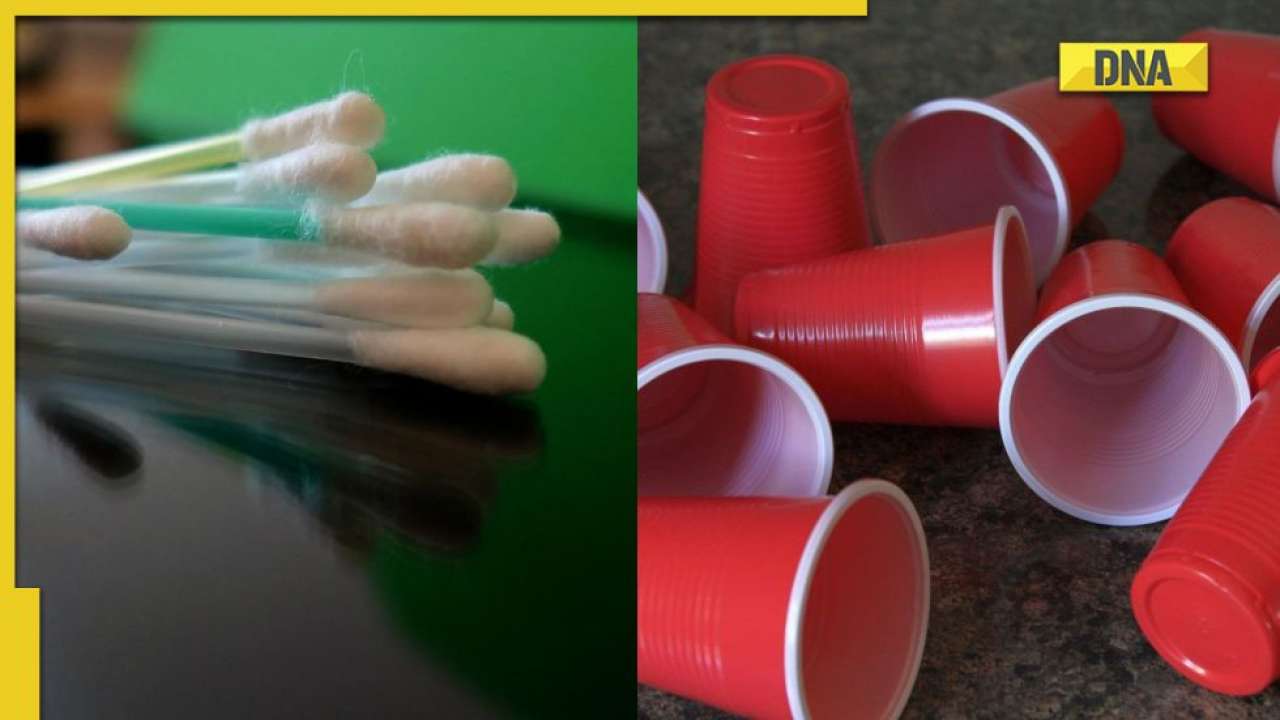 Single-use plastic ban from Friday: What is it, which items will no ...