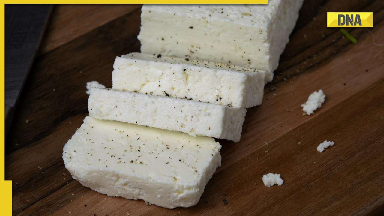 Have you tasted the world's most expensive cheese? Its price will shock you