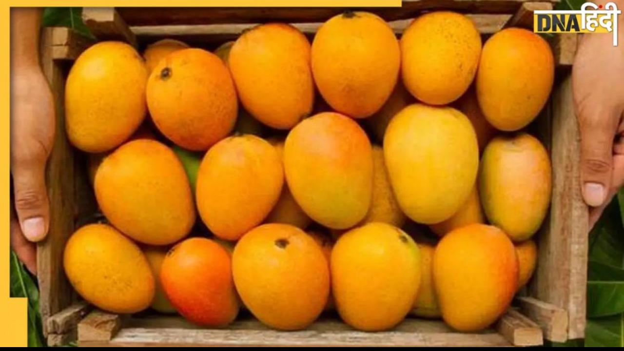 Bad Mango Combination : आम के साथ ये चीजें खाना बना देगा बीमार | DNA HINDI